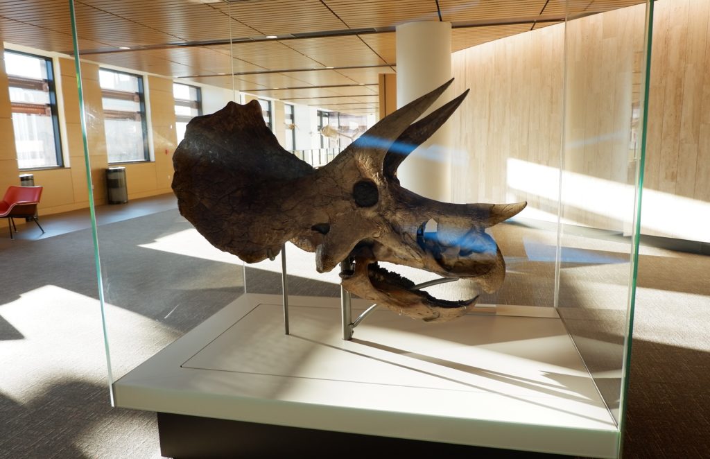 Postdocs – Roy Lederman