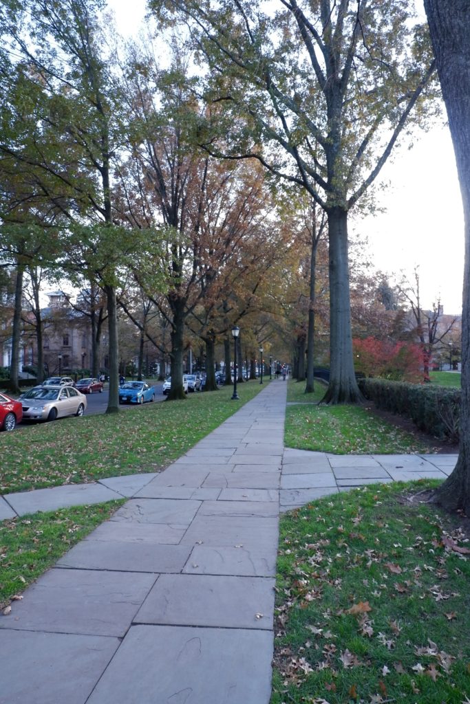 Postdocs – Roy Lederman